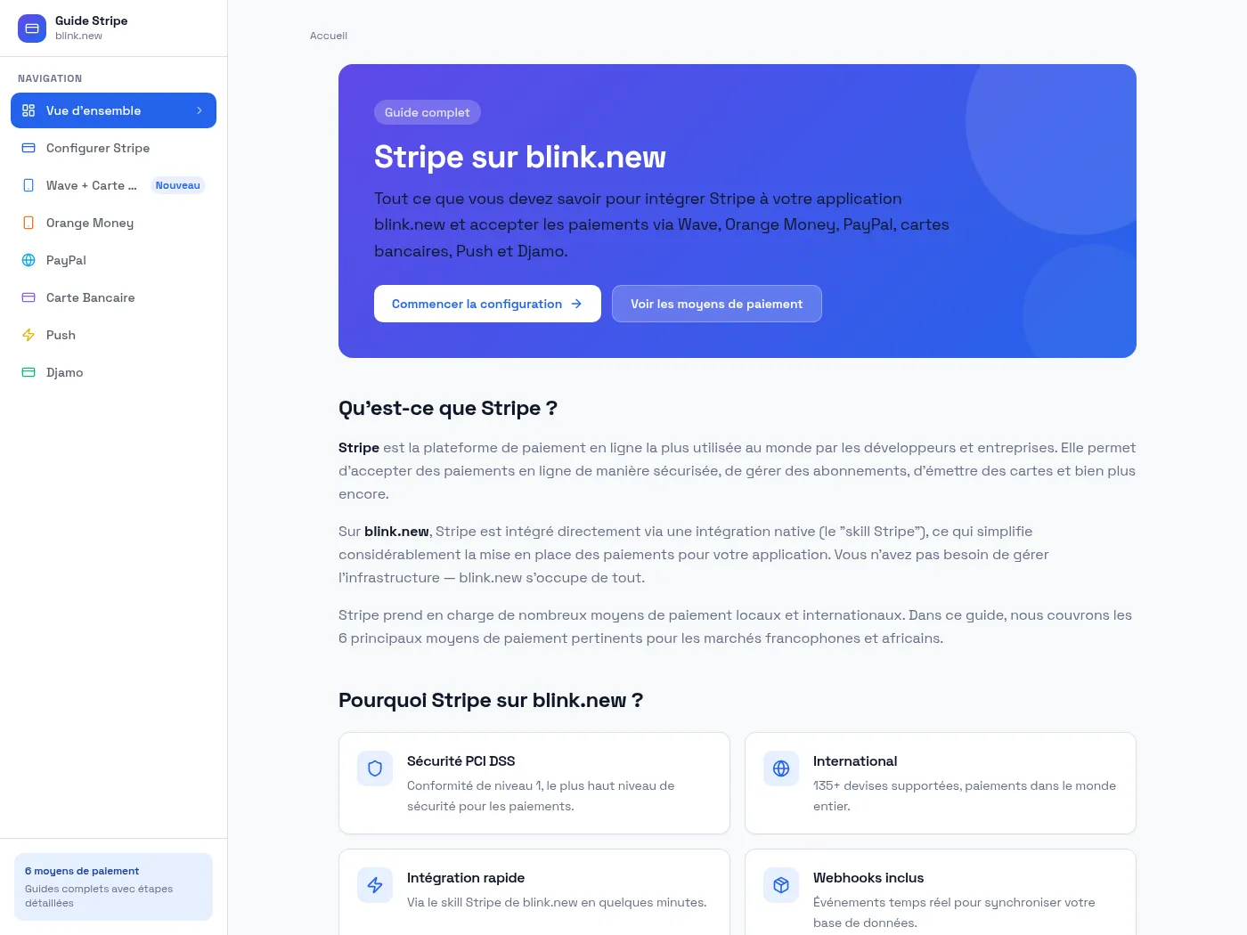 Stripe Payment Guide