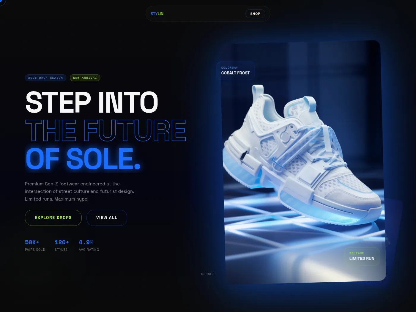 Stylin Sneakers Showcase