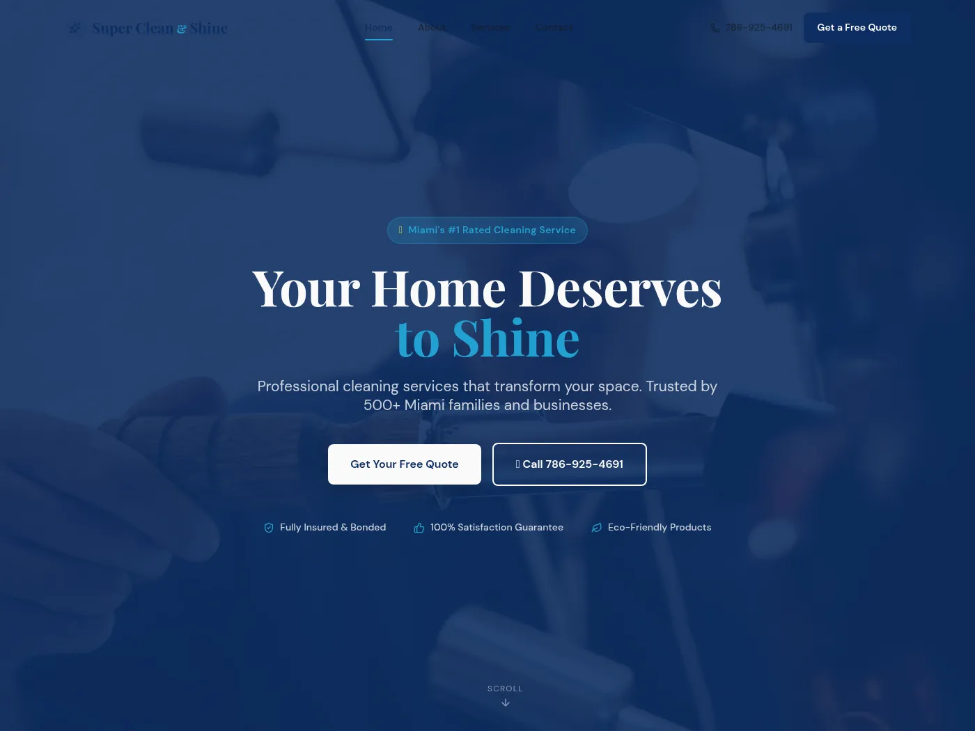 Super Clean & Shine Web