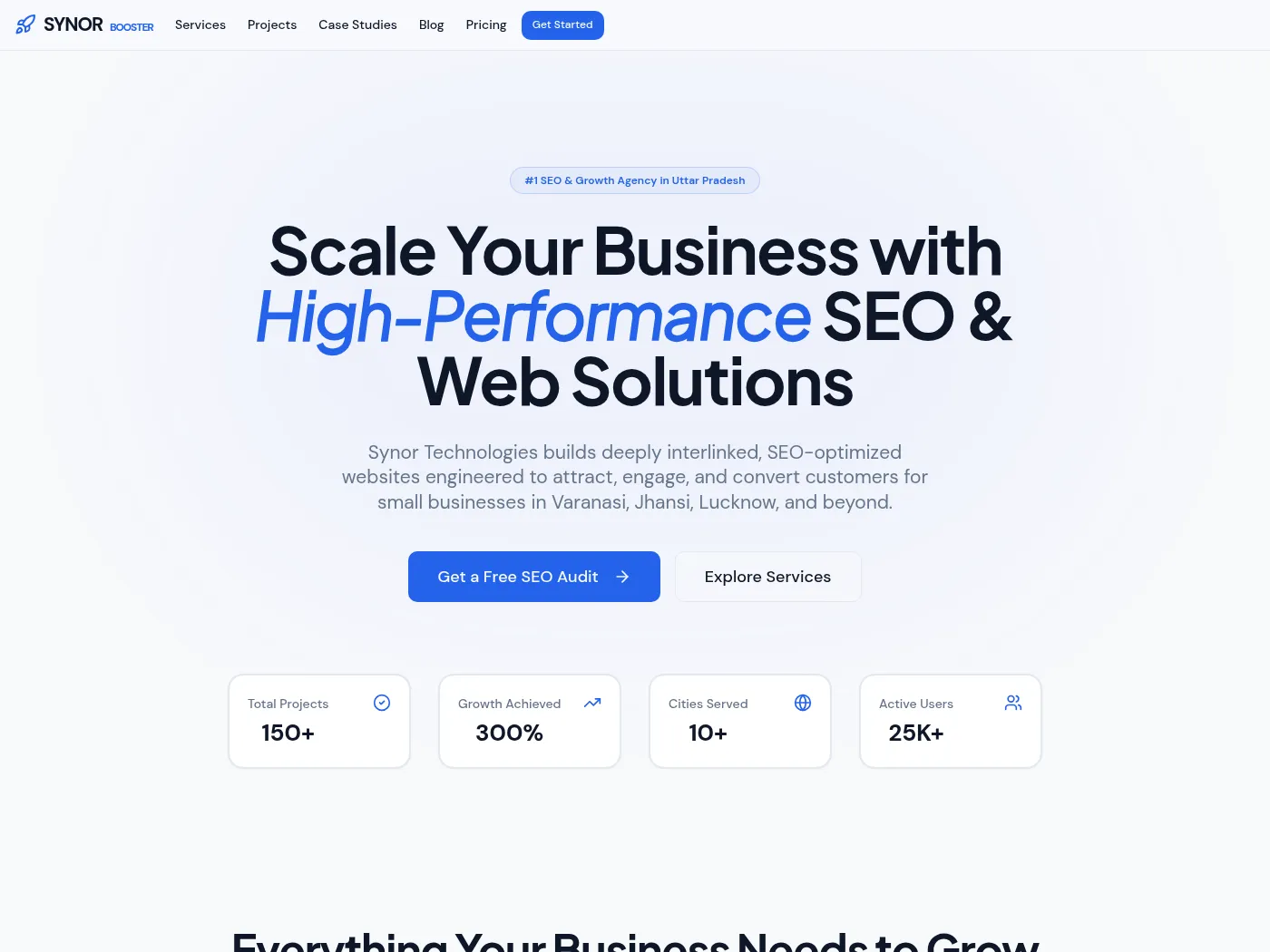 Synor SEO Booster Site