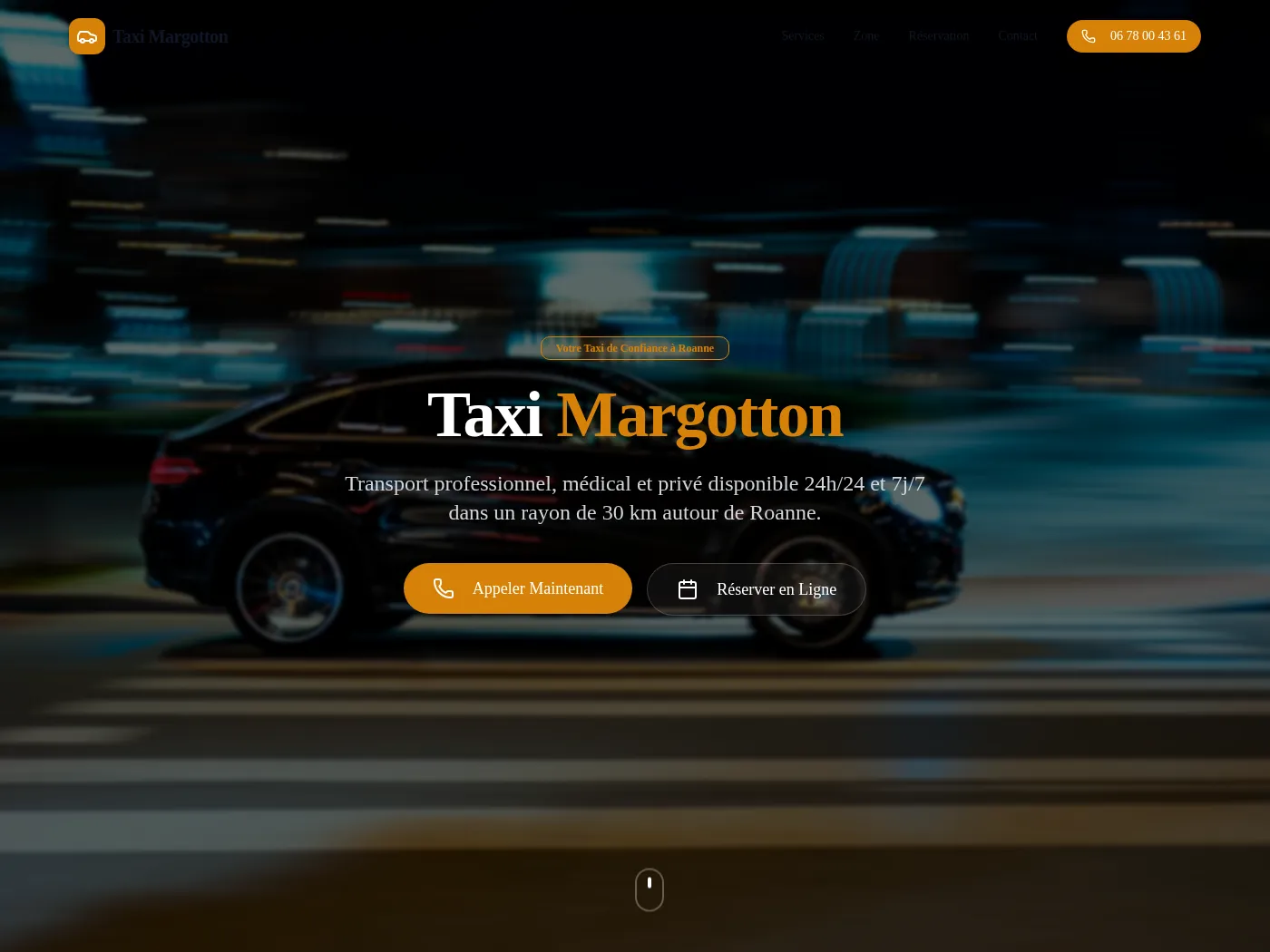 TaxiPro Web Presence