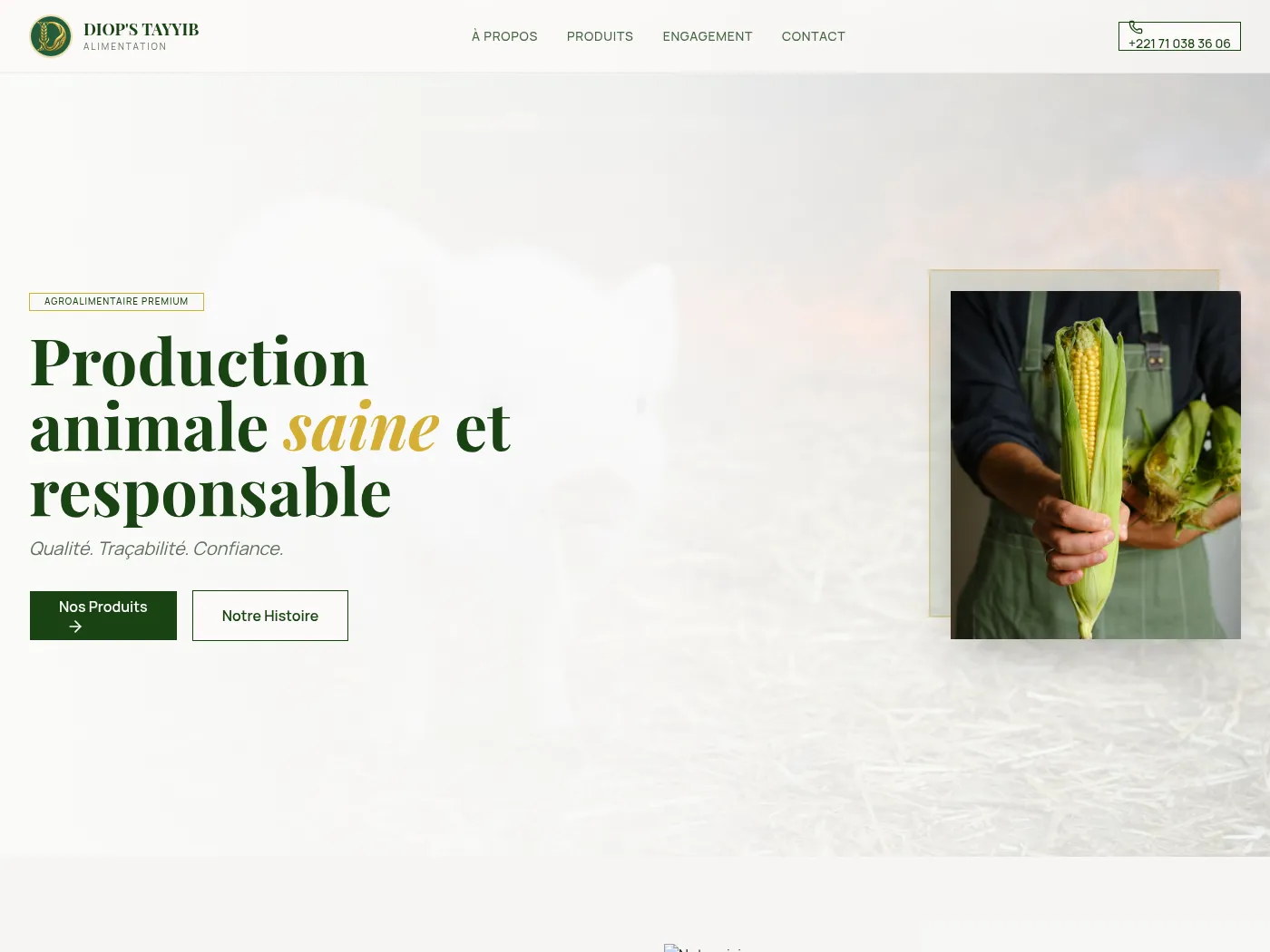 DiopsTayyib_site