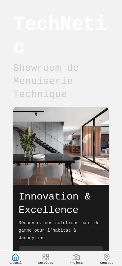 TechNetic Showroom Site