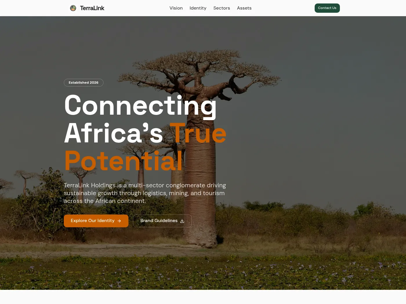 TerraLink Brand Identity