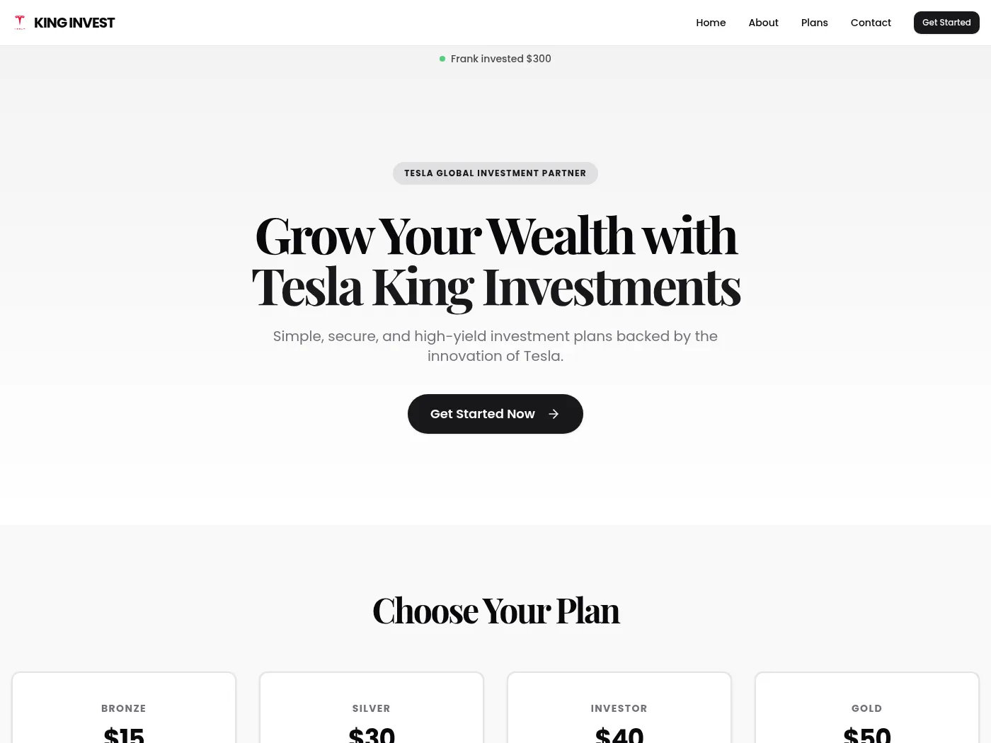 Tesla King Investments