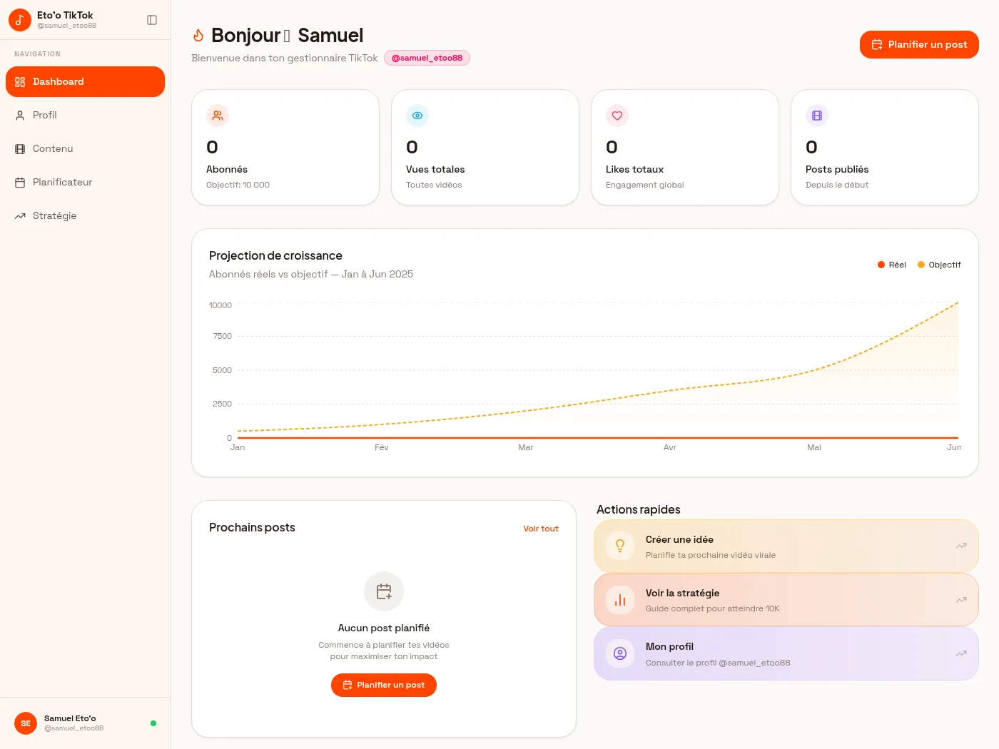 TikTok Account Manager