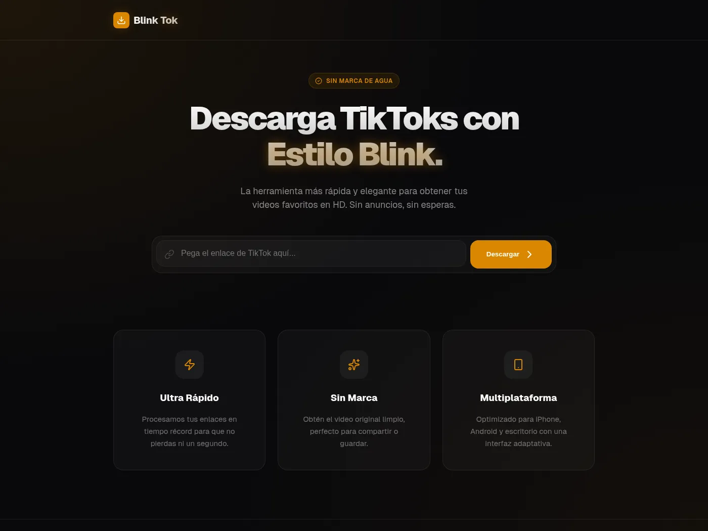 Blink Tok Downloader
