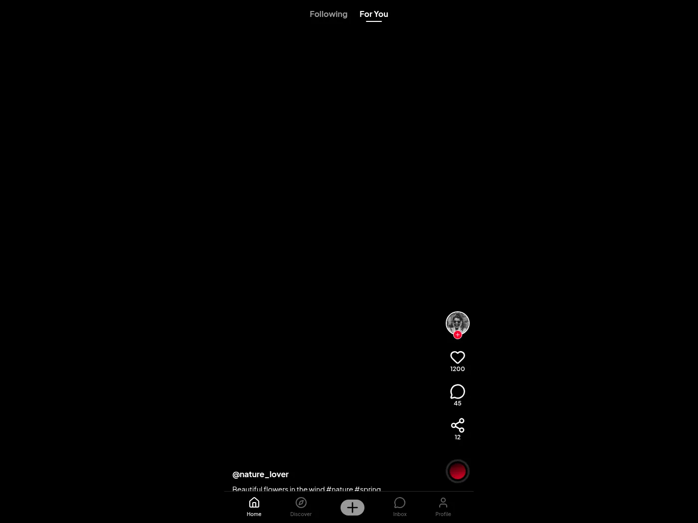 TikTok Clone