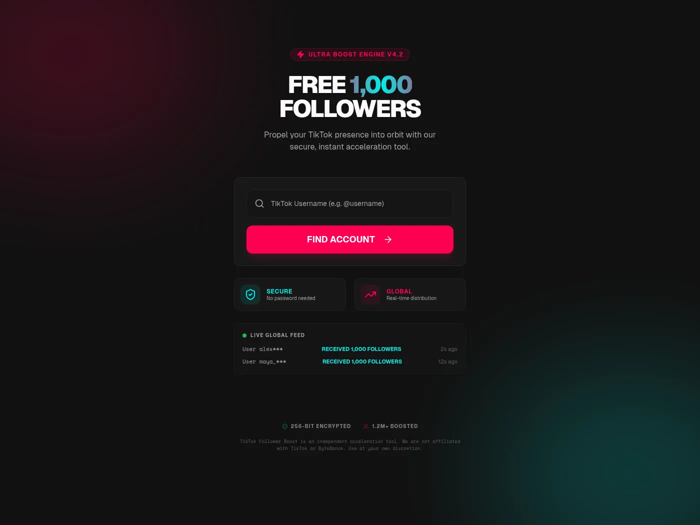 TikTok Follower Boost