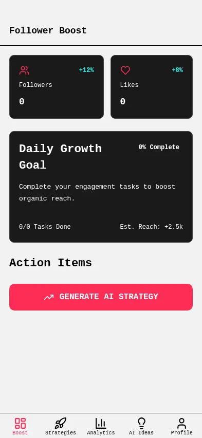 TikTok Follower Boost