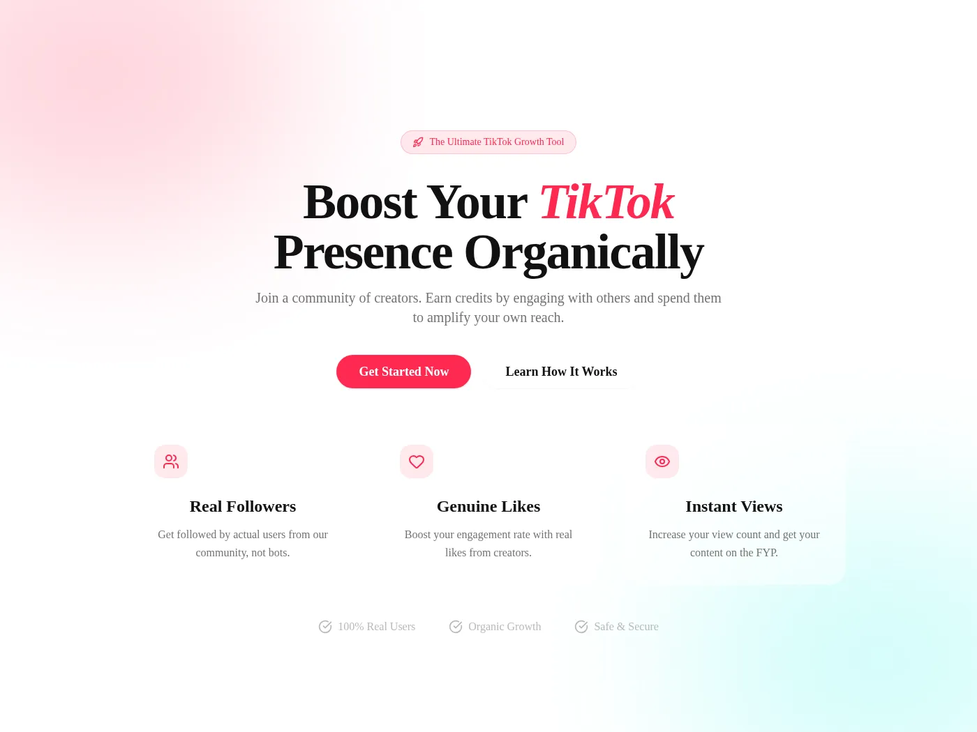 TikTok Growth Booster