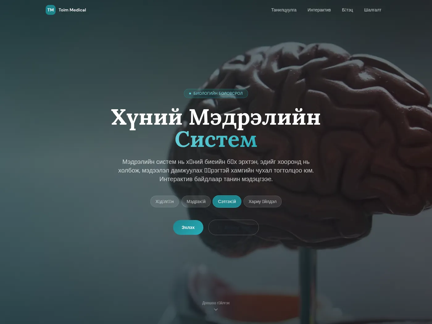 Toim Medical Clone