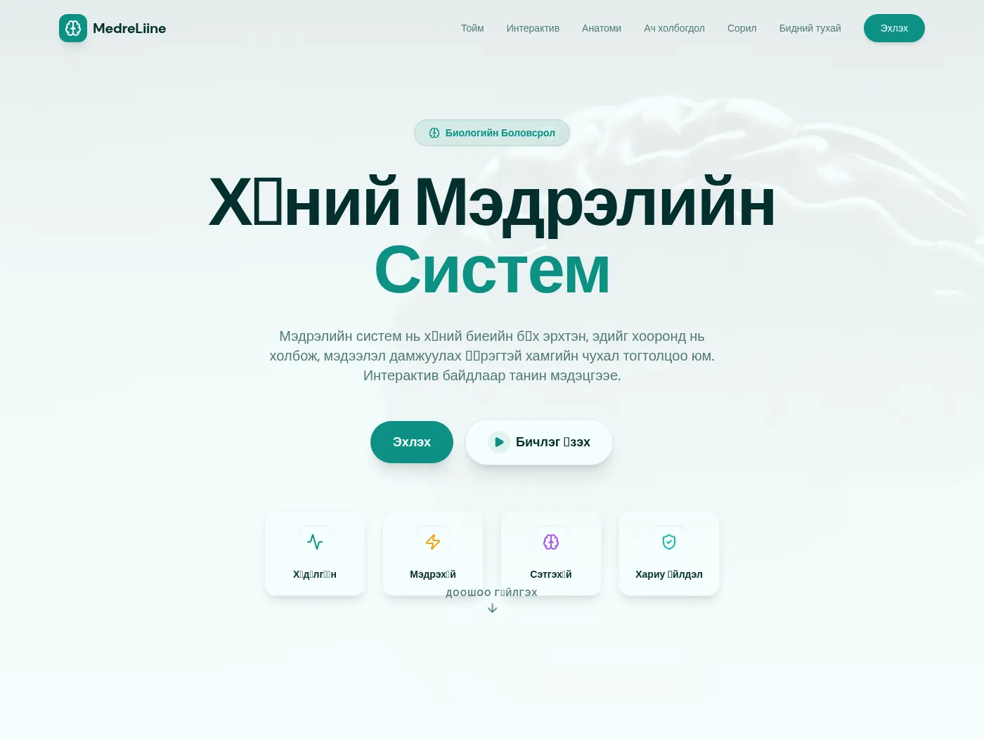Toim Page Medical System
