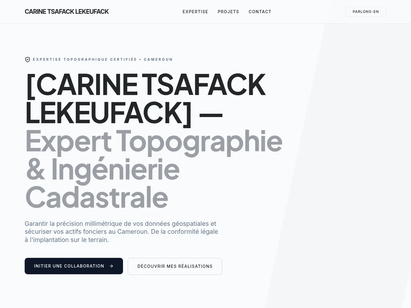 TopoPortfolio Pro