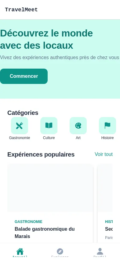 TravelMeet Connect