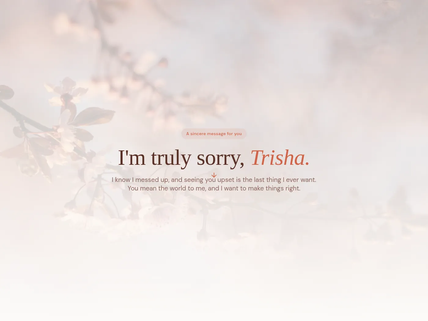 Trisha Apology Page