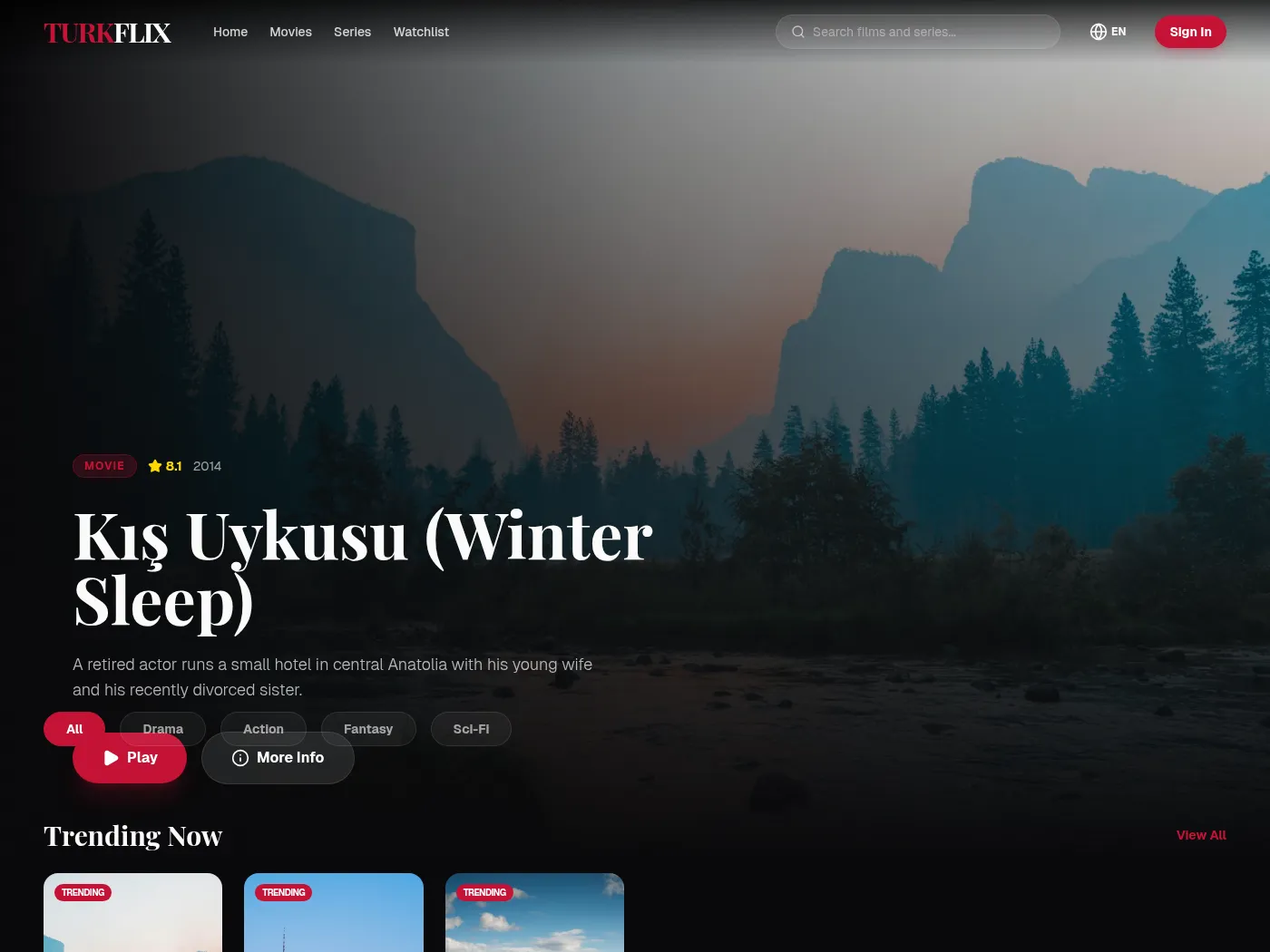 TurkFlix Streaming Platform