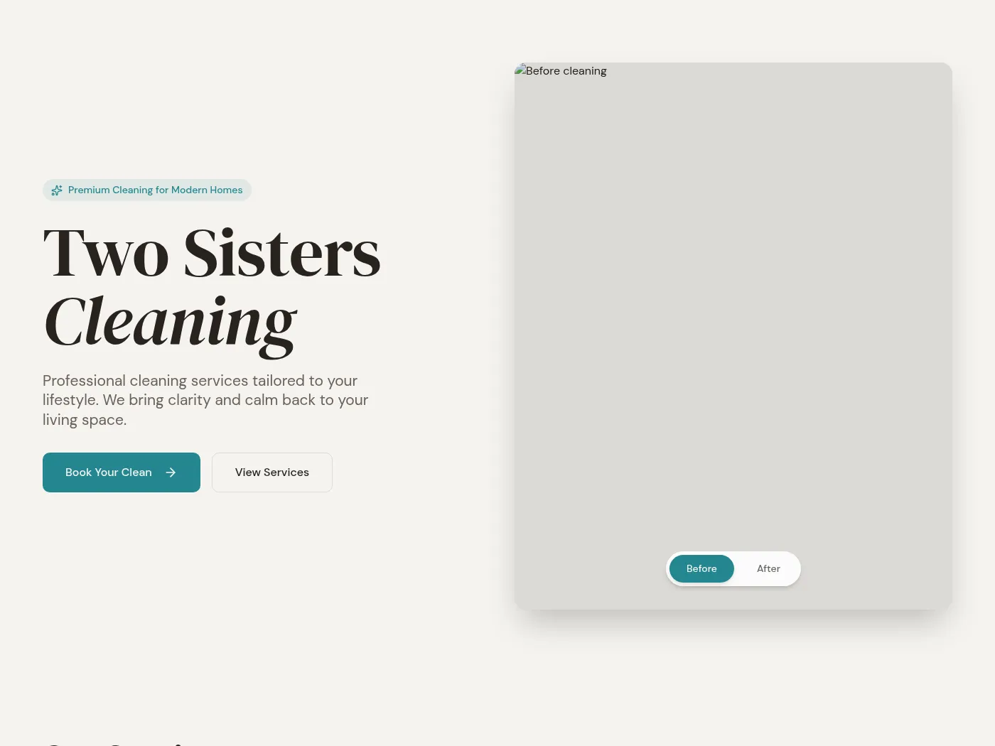 Two Sisters Cleaning Site