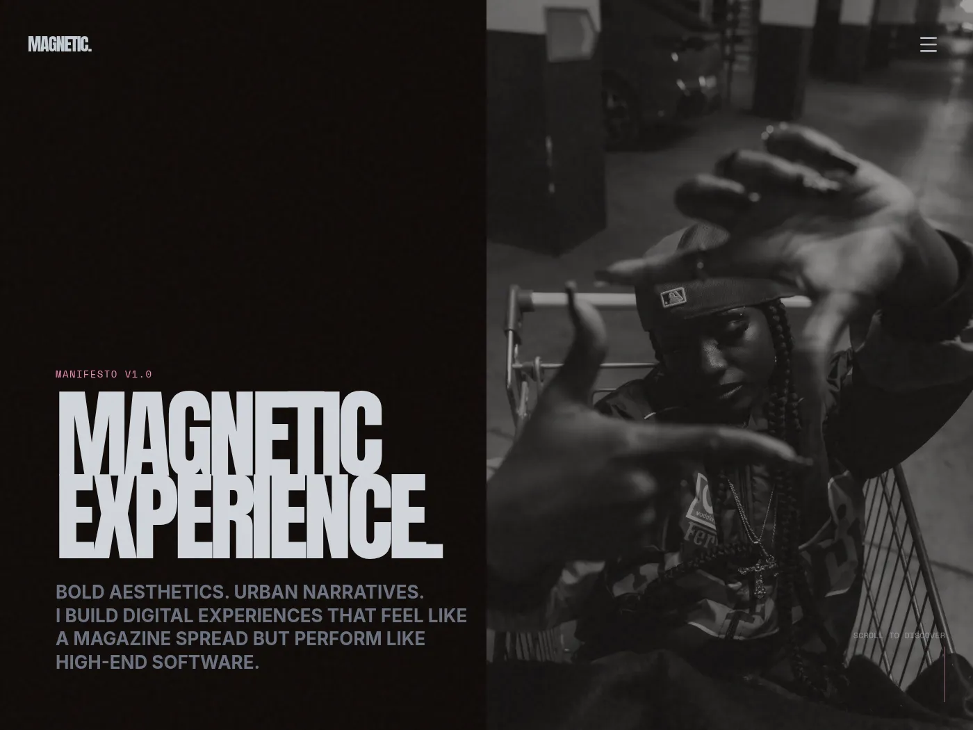 Magnetic CV Experience