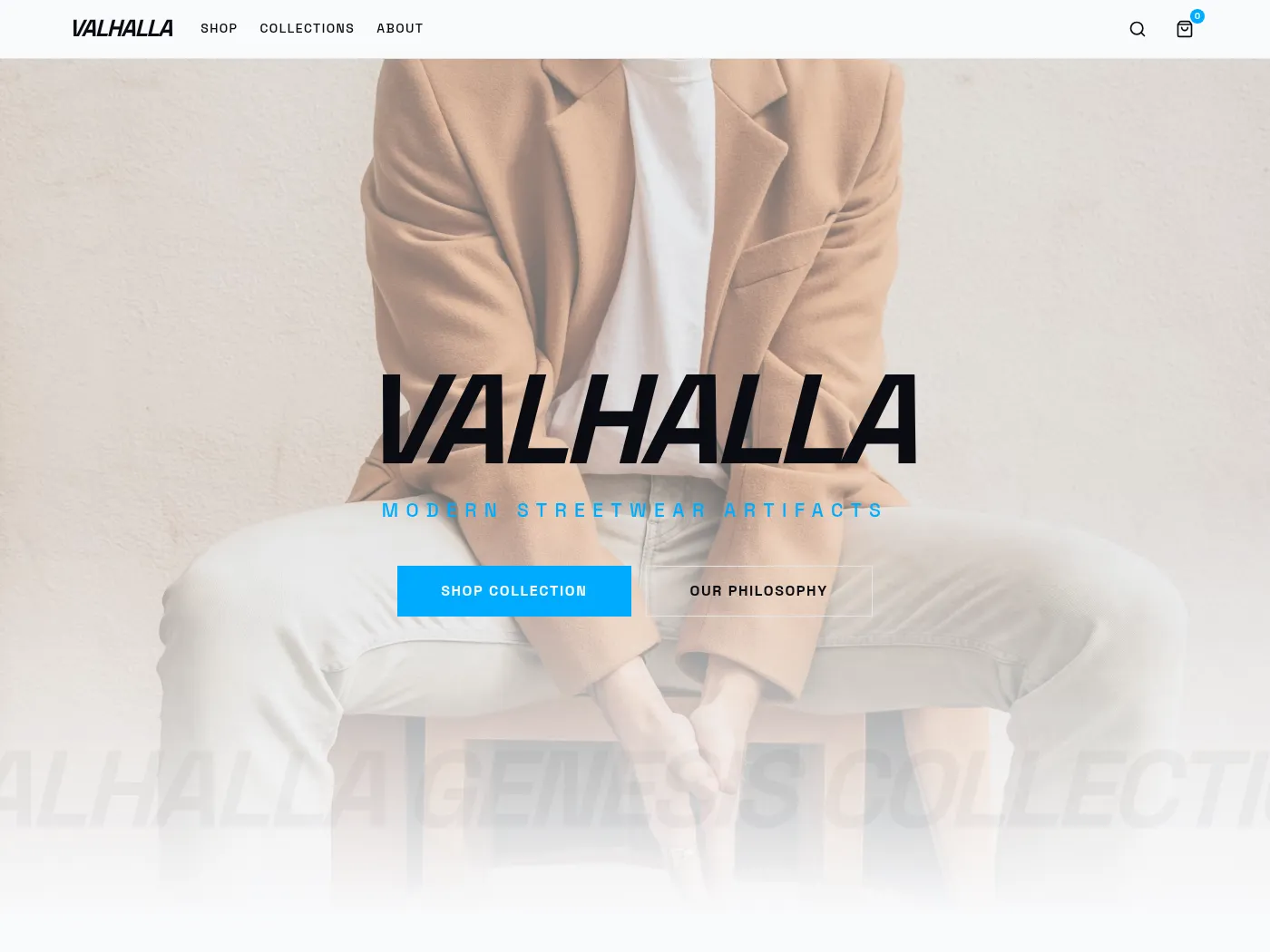 Valhalla Clothing Website