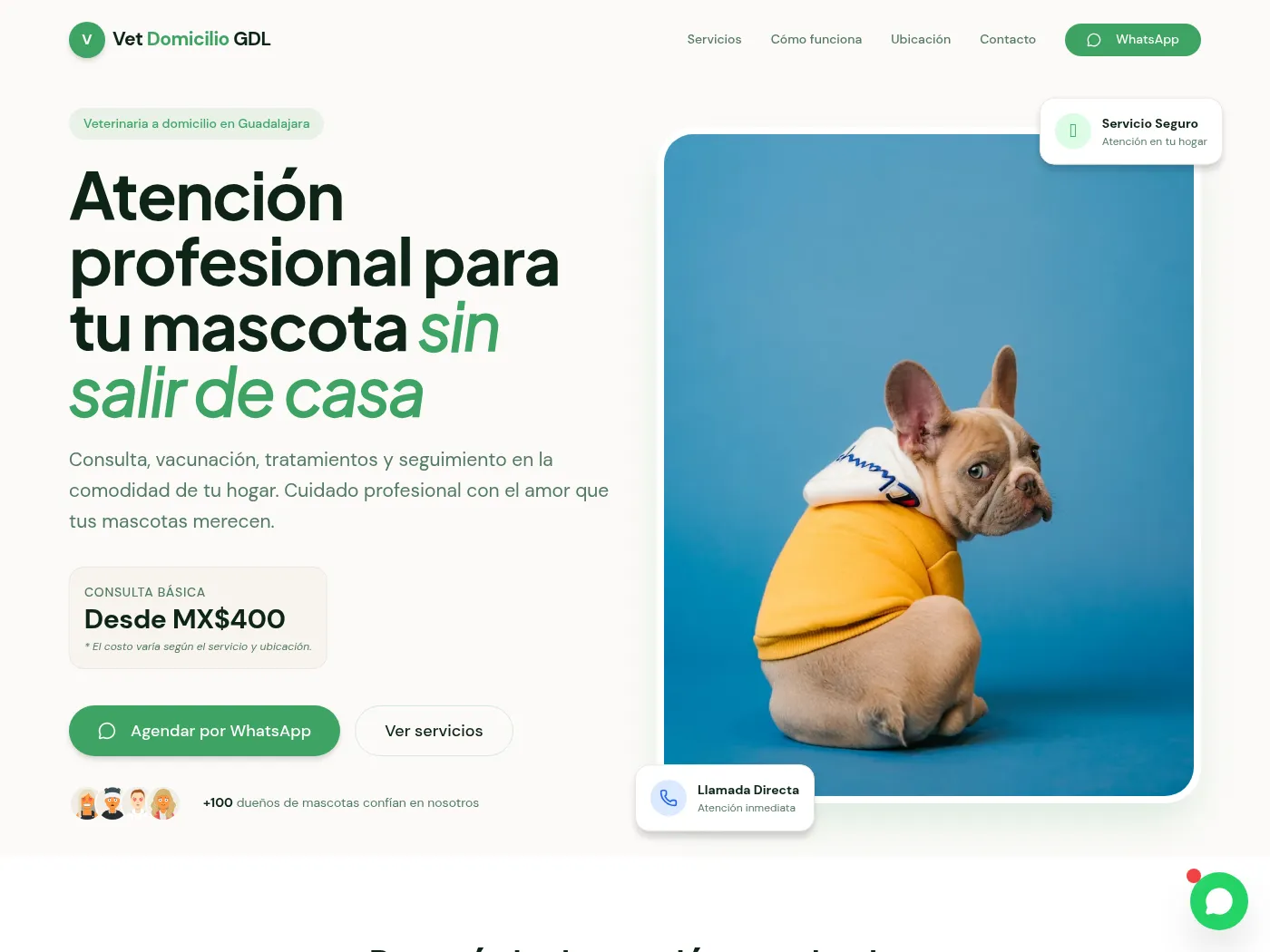 Vet Domicilio GDL Web