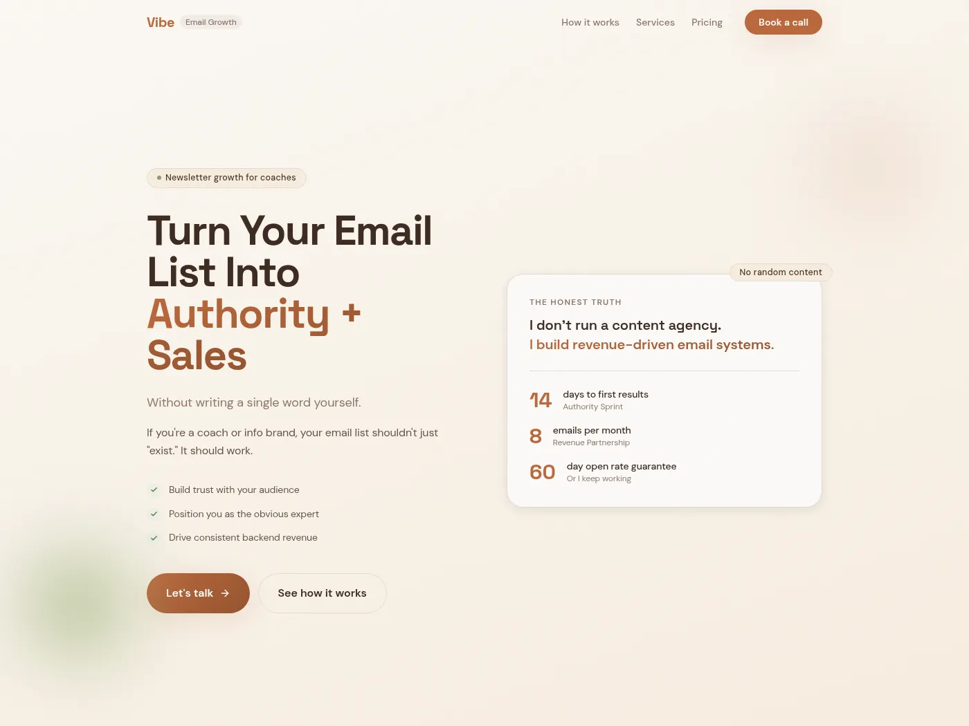 Vibe Email Growth Landing