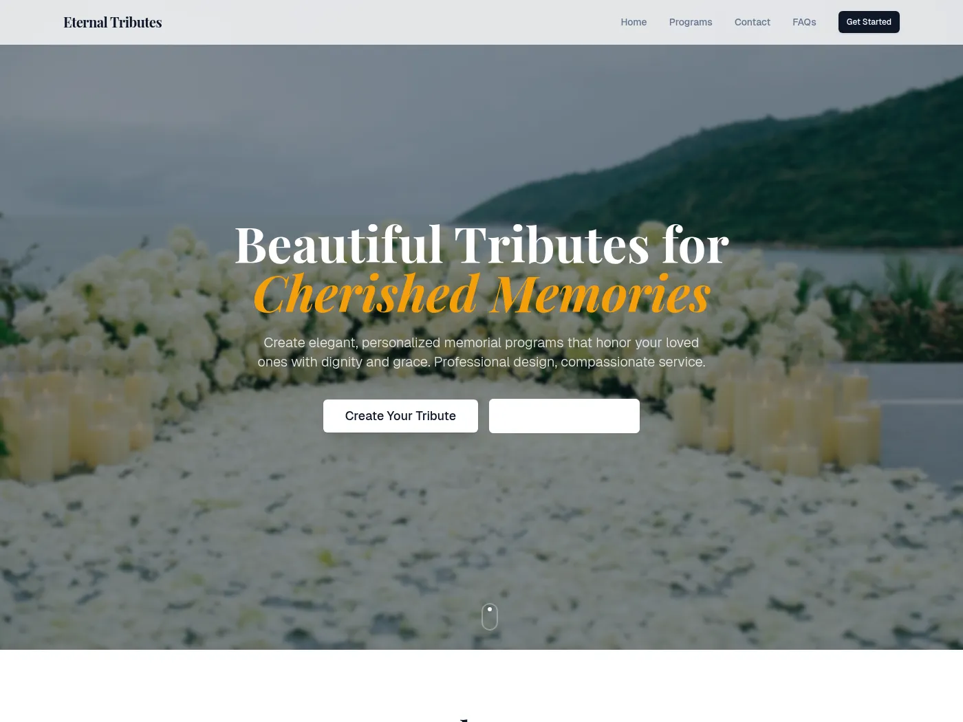 Vibe Portfolio Clone