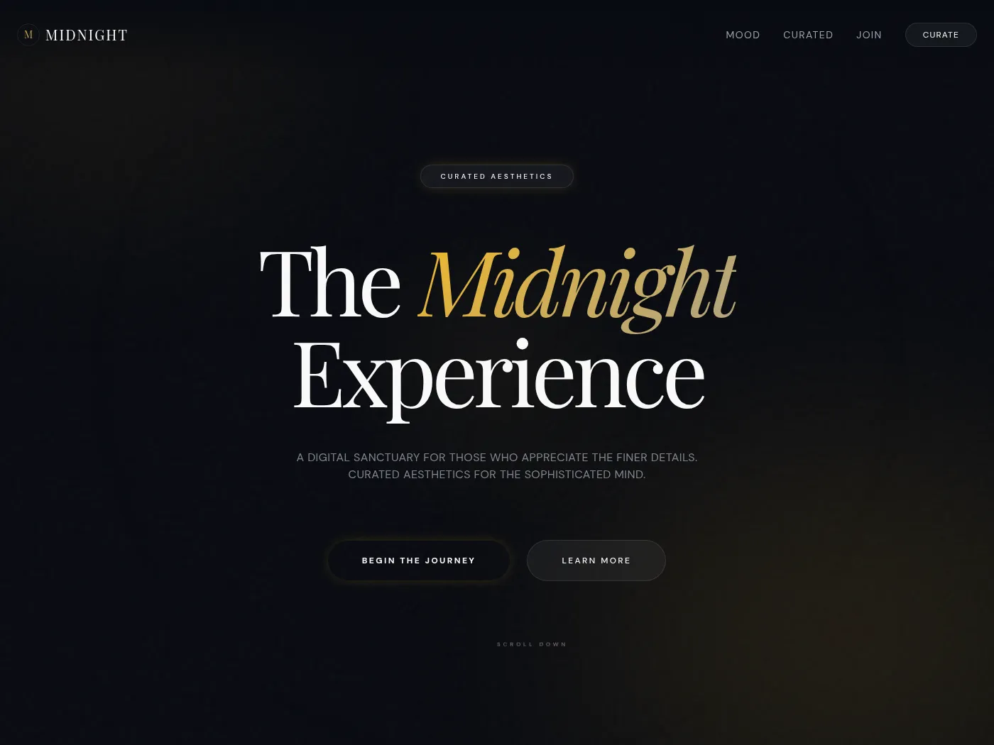 Vibe Website