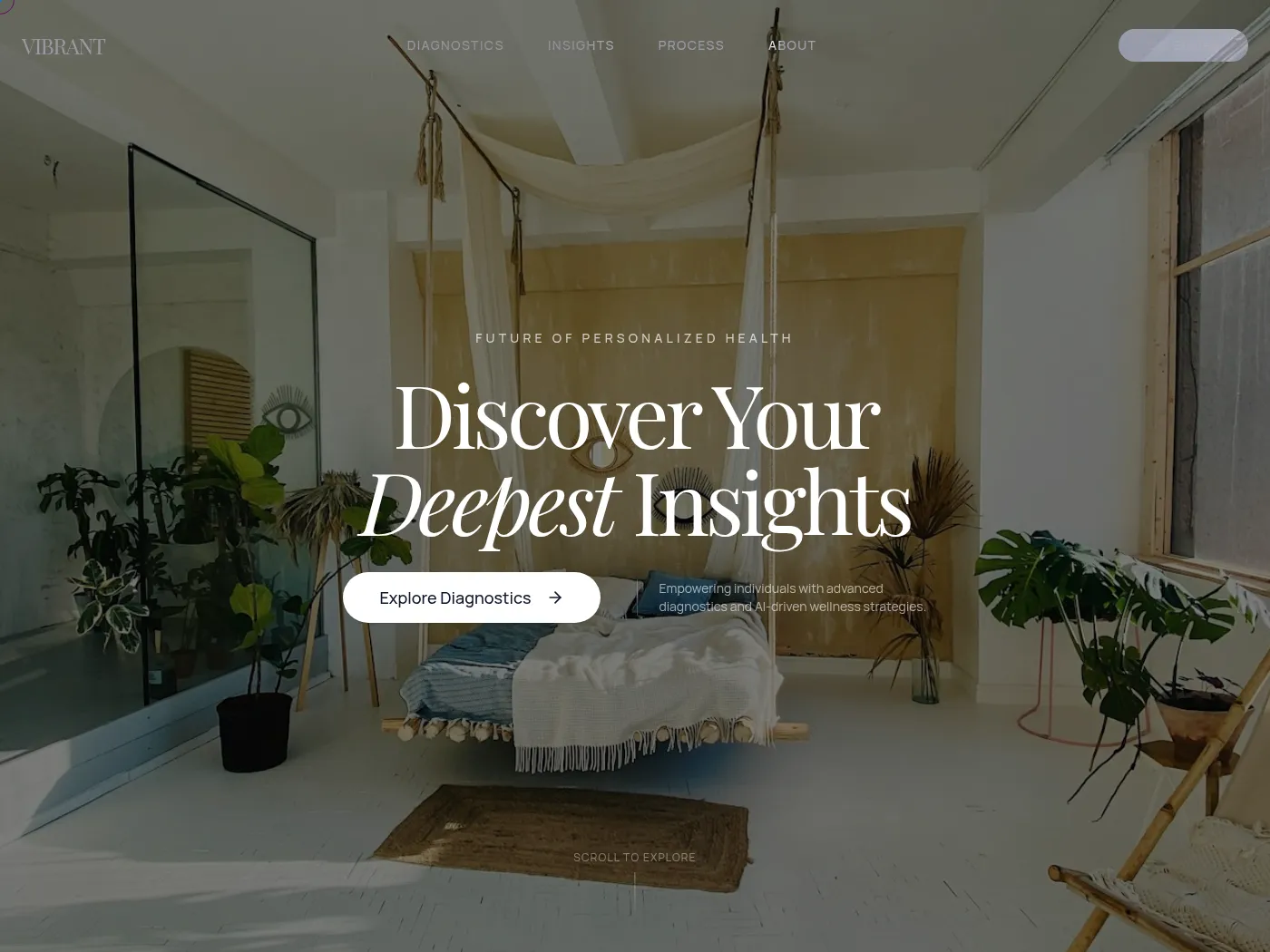Vibrant Agency Showcase