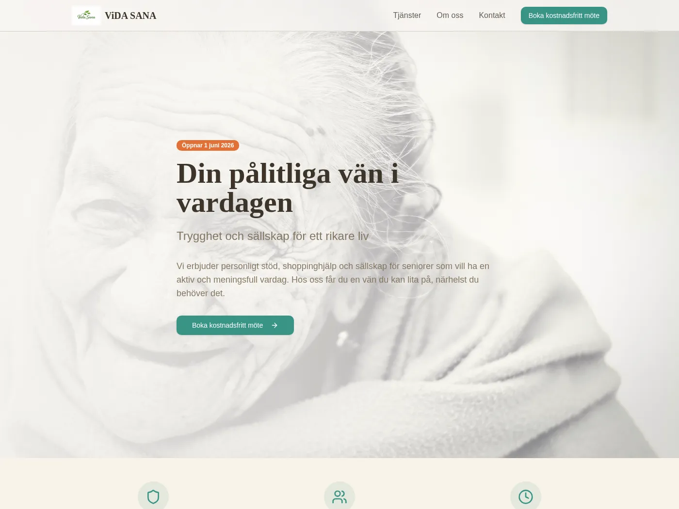 Vida Sana Wellness Site