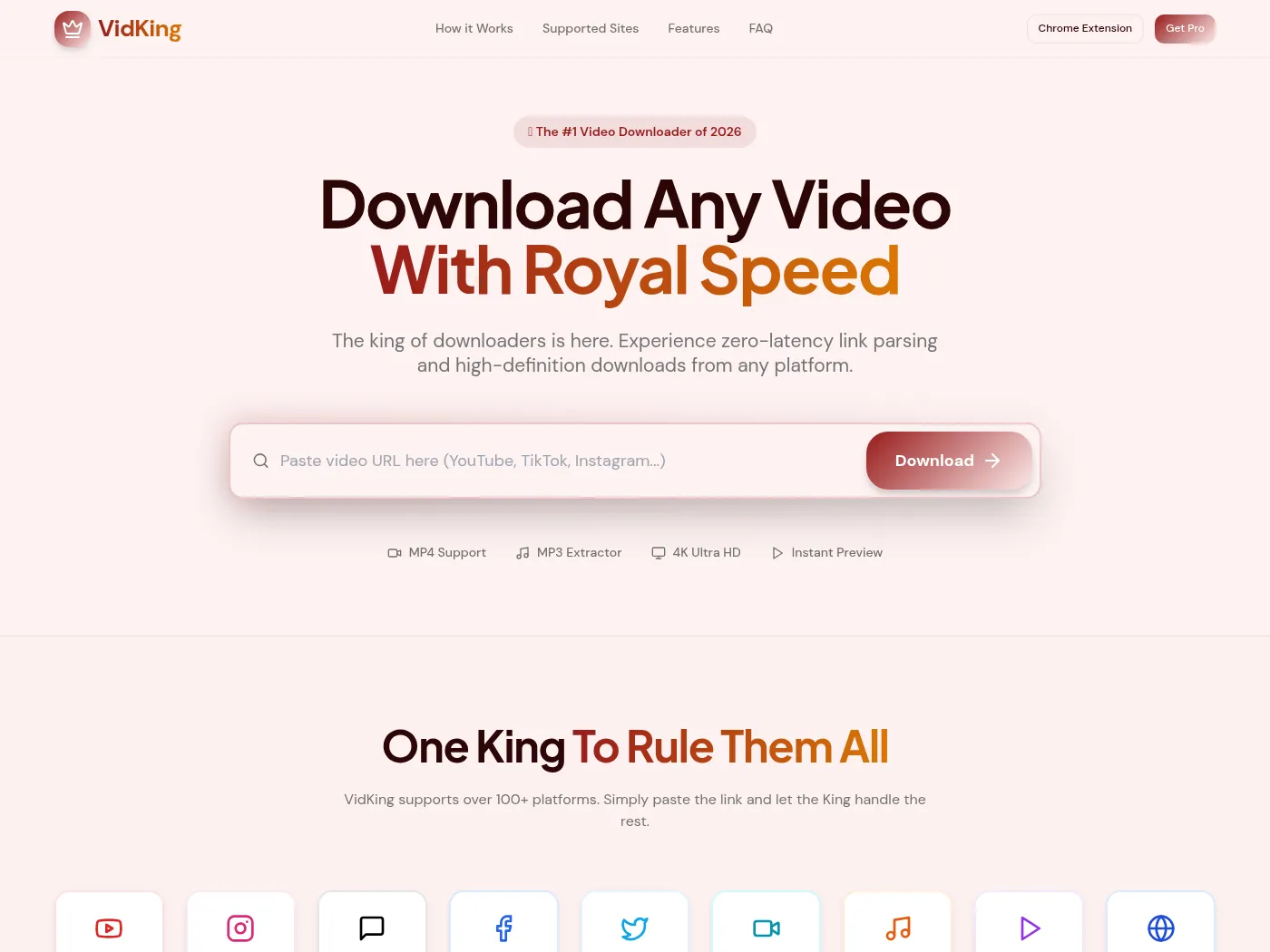 VidKing Video Downloader