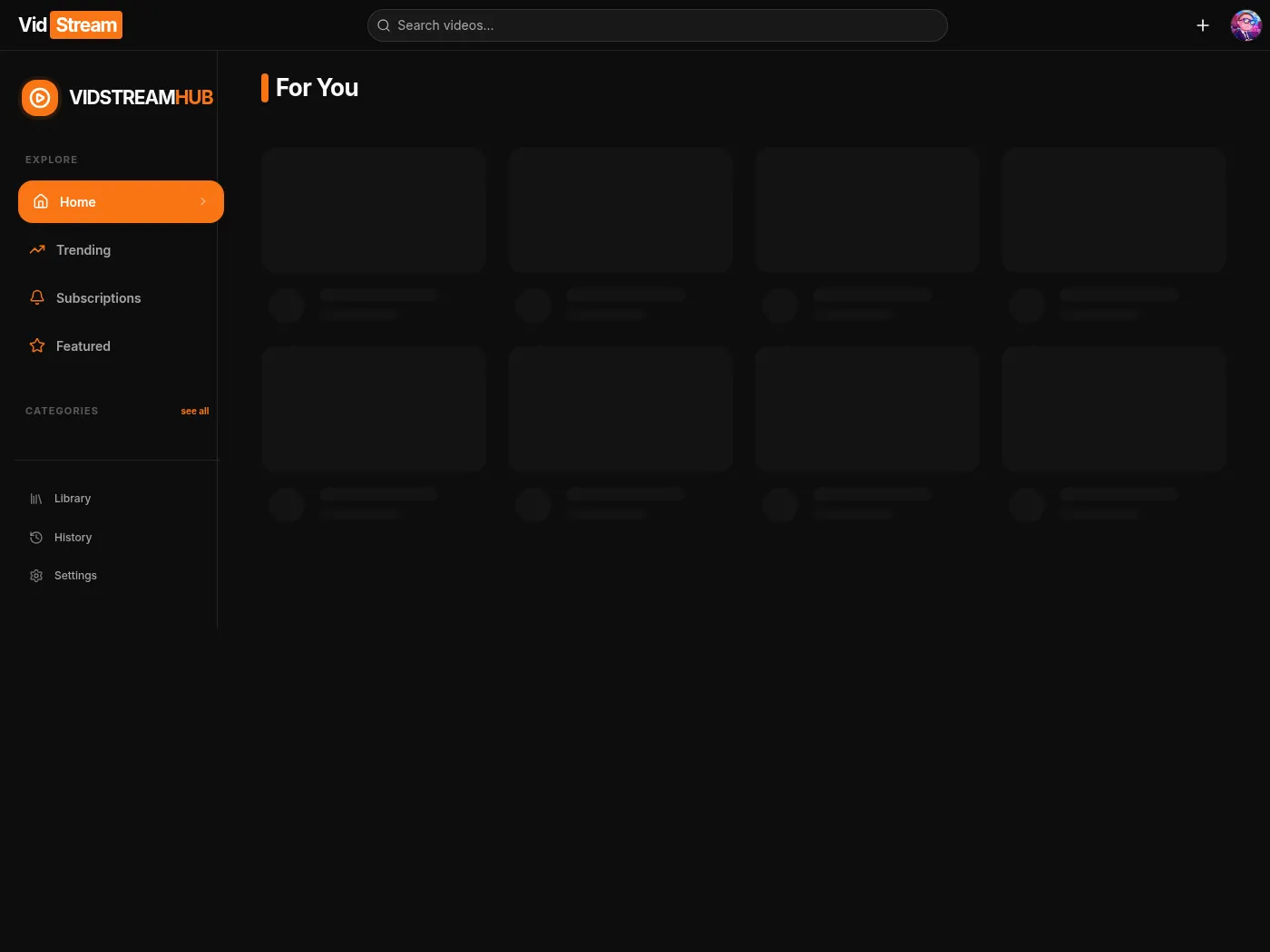 VidStream Hub