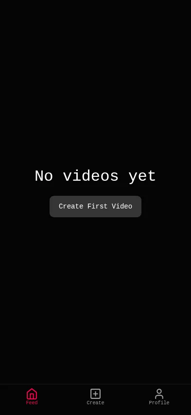 VideoMaster Pro