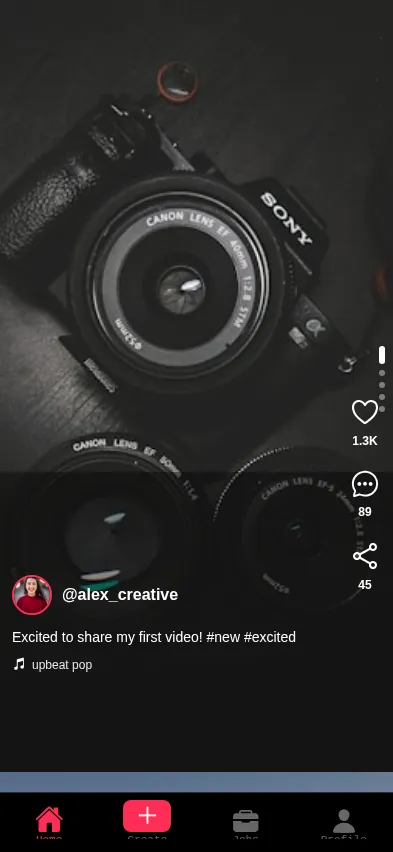 VidSnap Job Connect