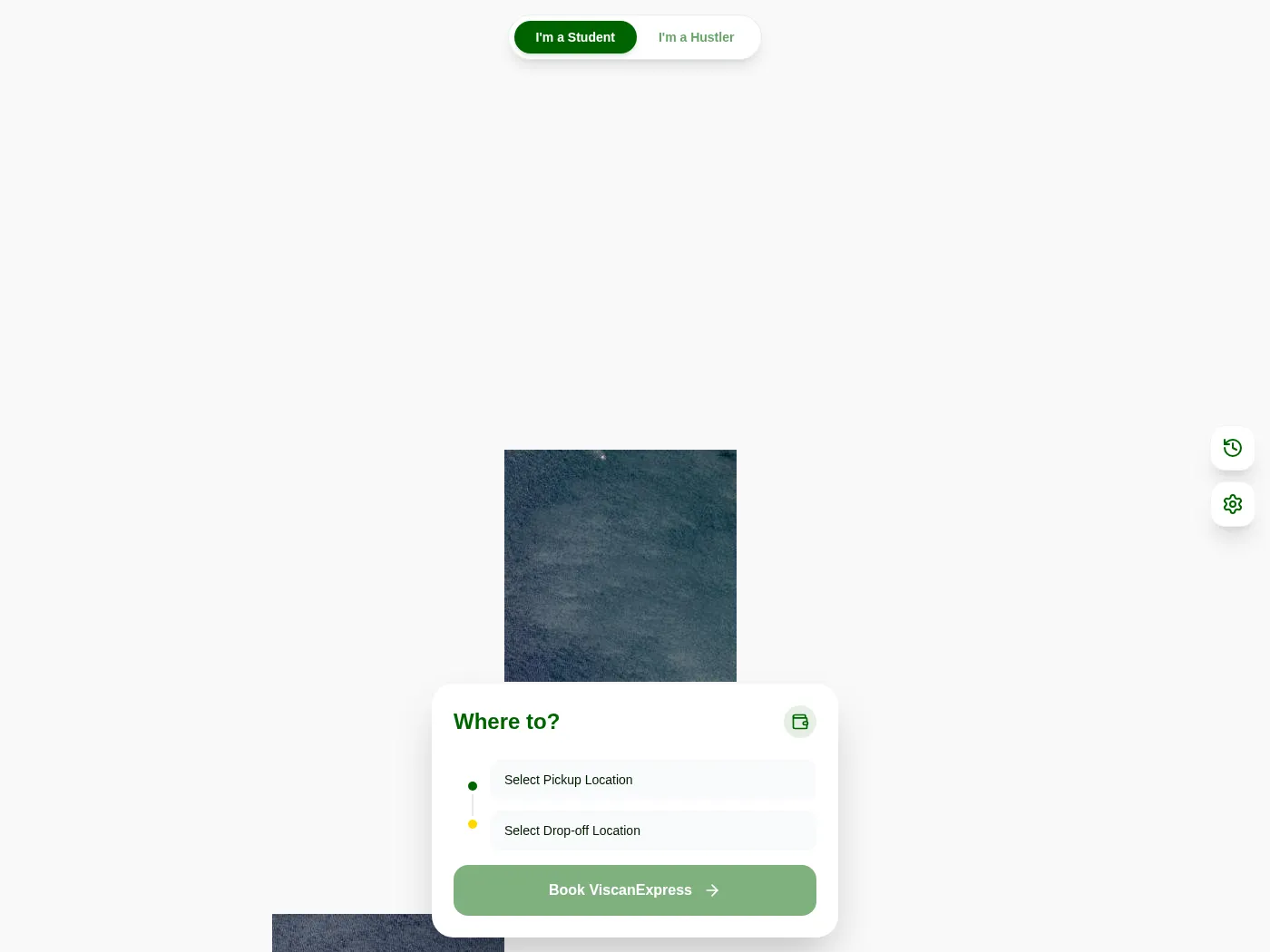 ViscanExpress Grab Lite