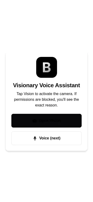 Visionary Voice Assistant