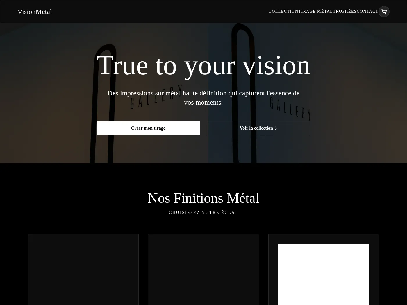 VisionMetal Prints