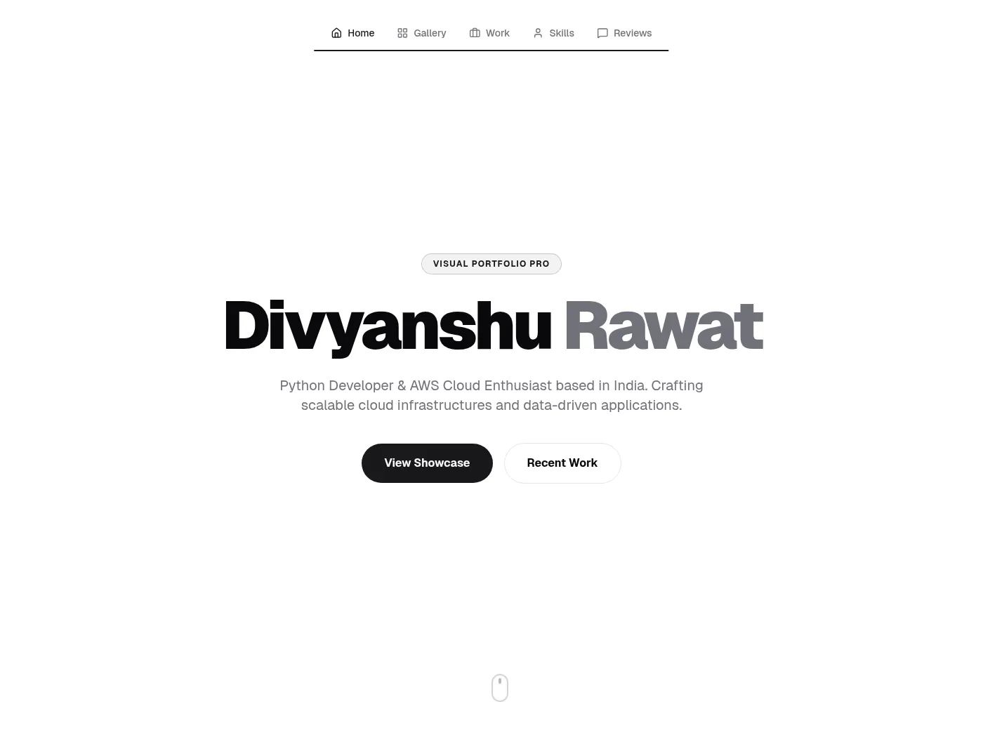 Visual Portfolio Pro