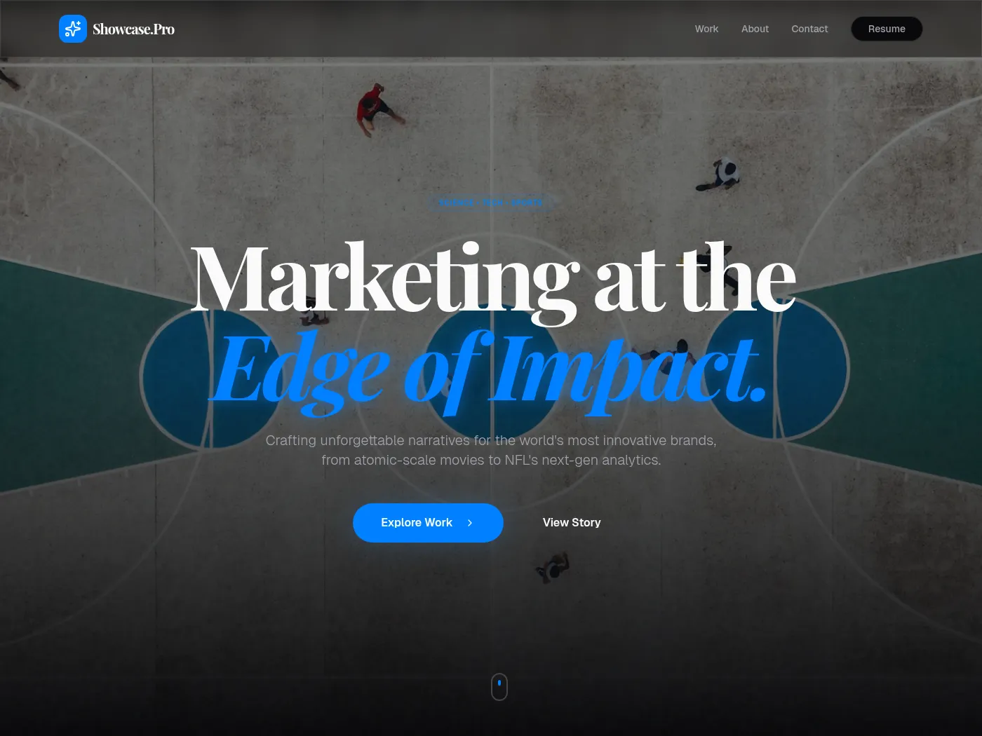 Showcase Portfolio Pro