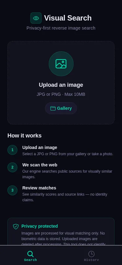Ethical Visual Search