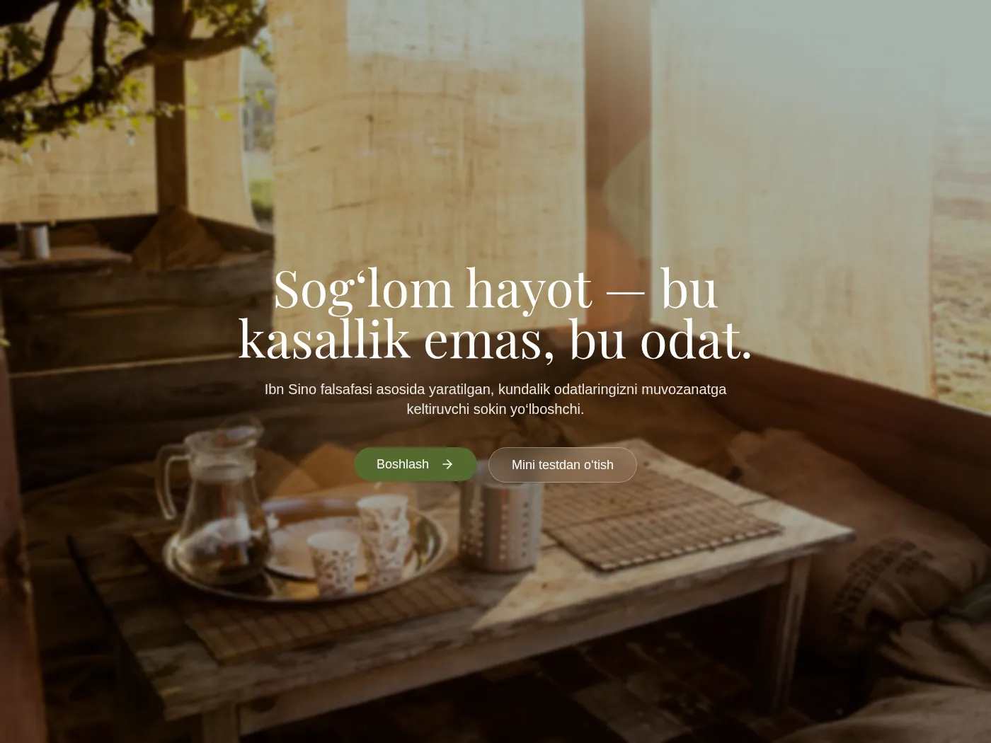 VITA Lifestyle Companion