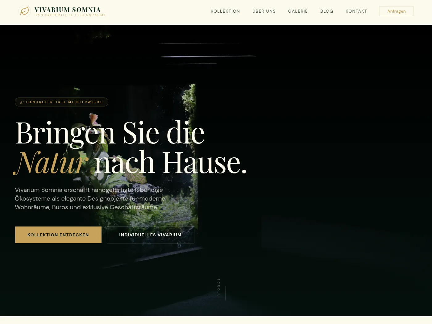 Vivarium Somnia Premium Web