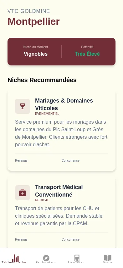 VTC Goldmine Montpellier