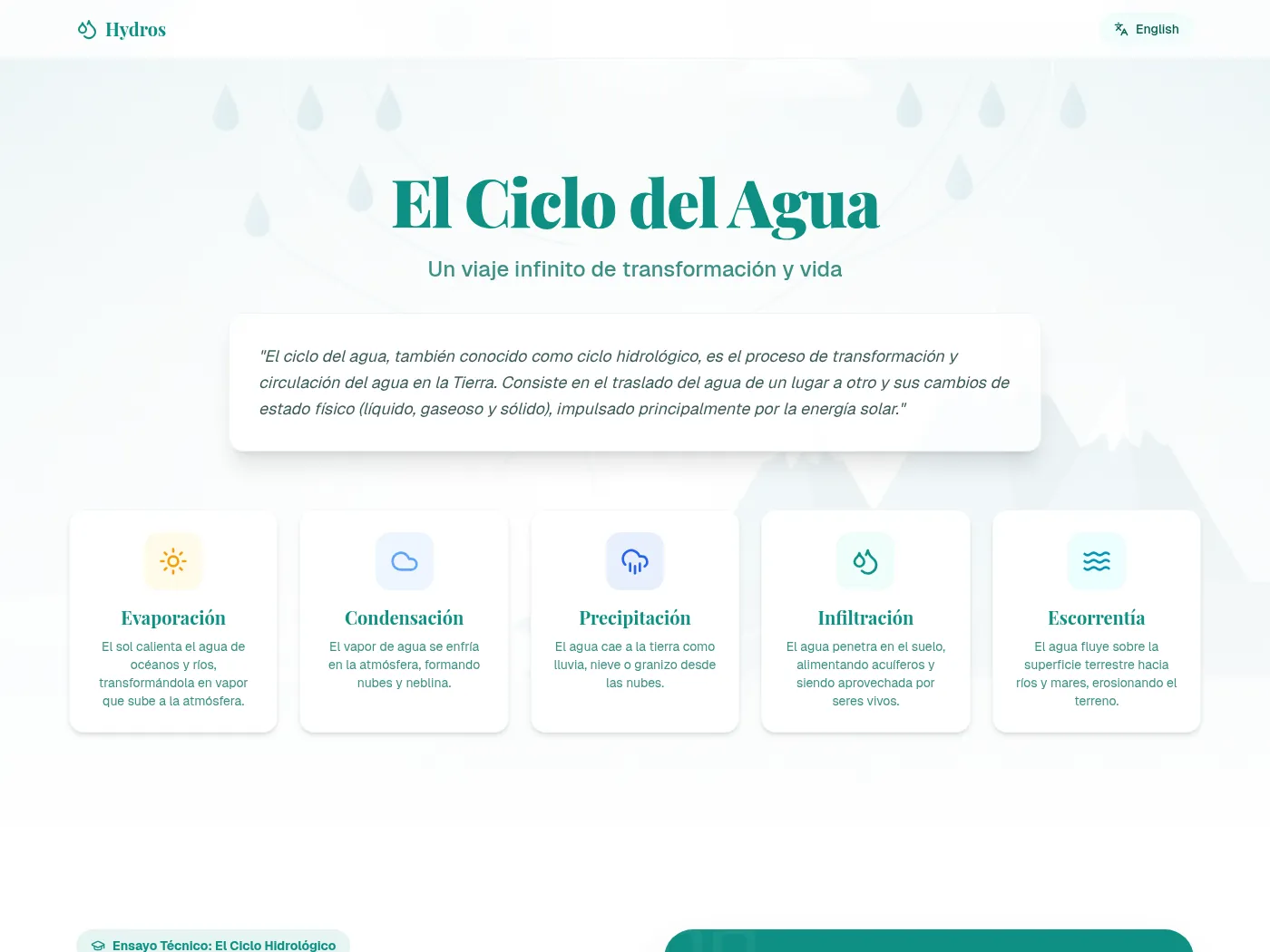 Water Cycle Bilingual Poster