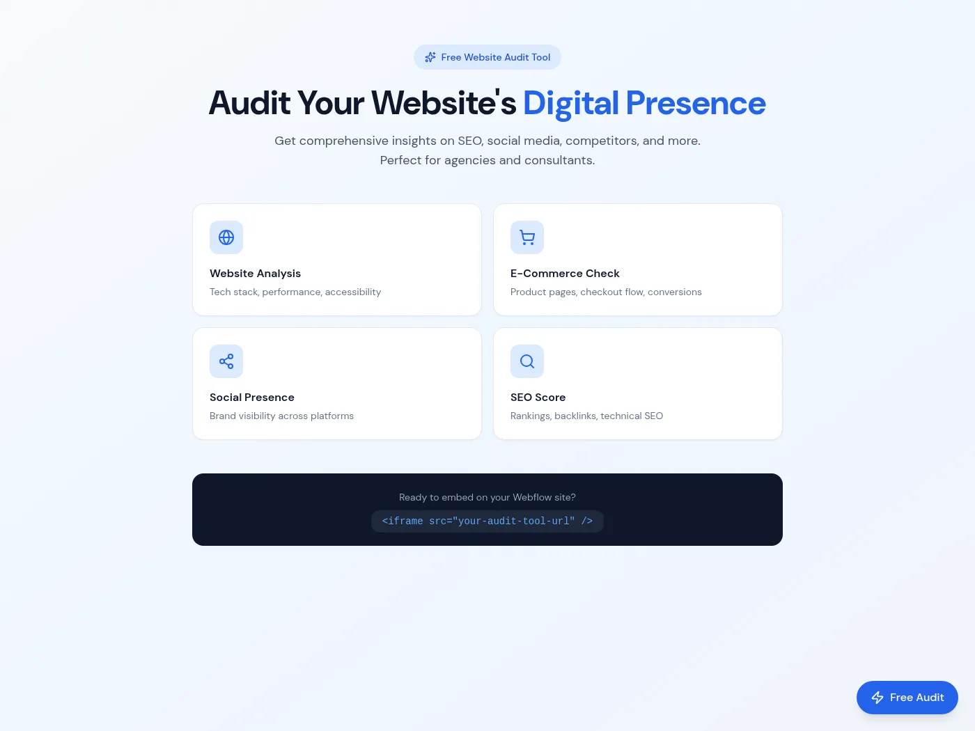 Web Presence Audit Tool