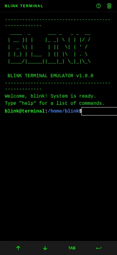 Web Terminal Emulator