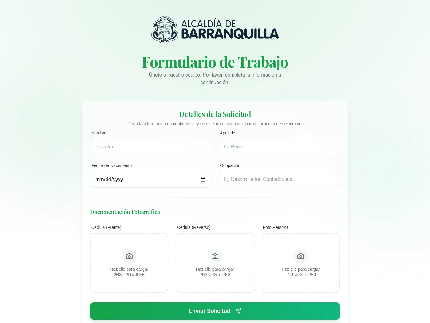 Professional Work Form