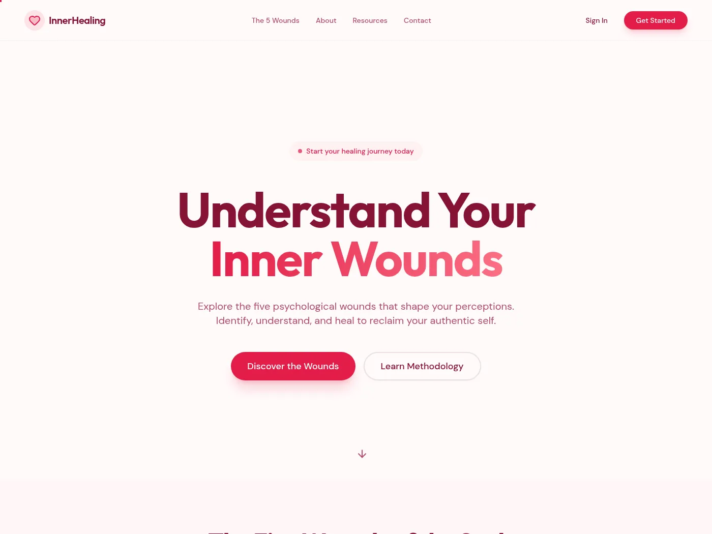 Wounds Insight Web App