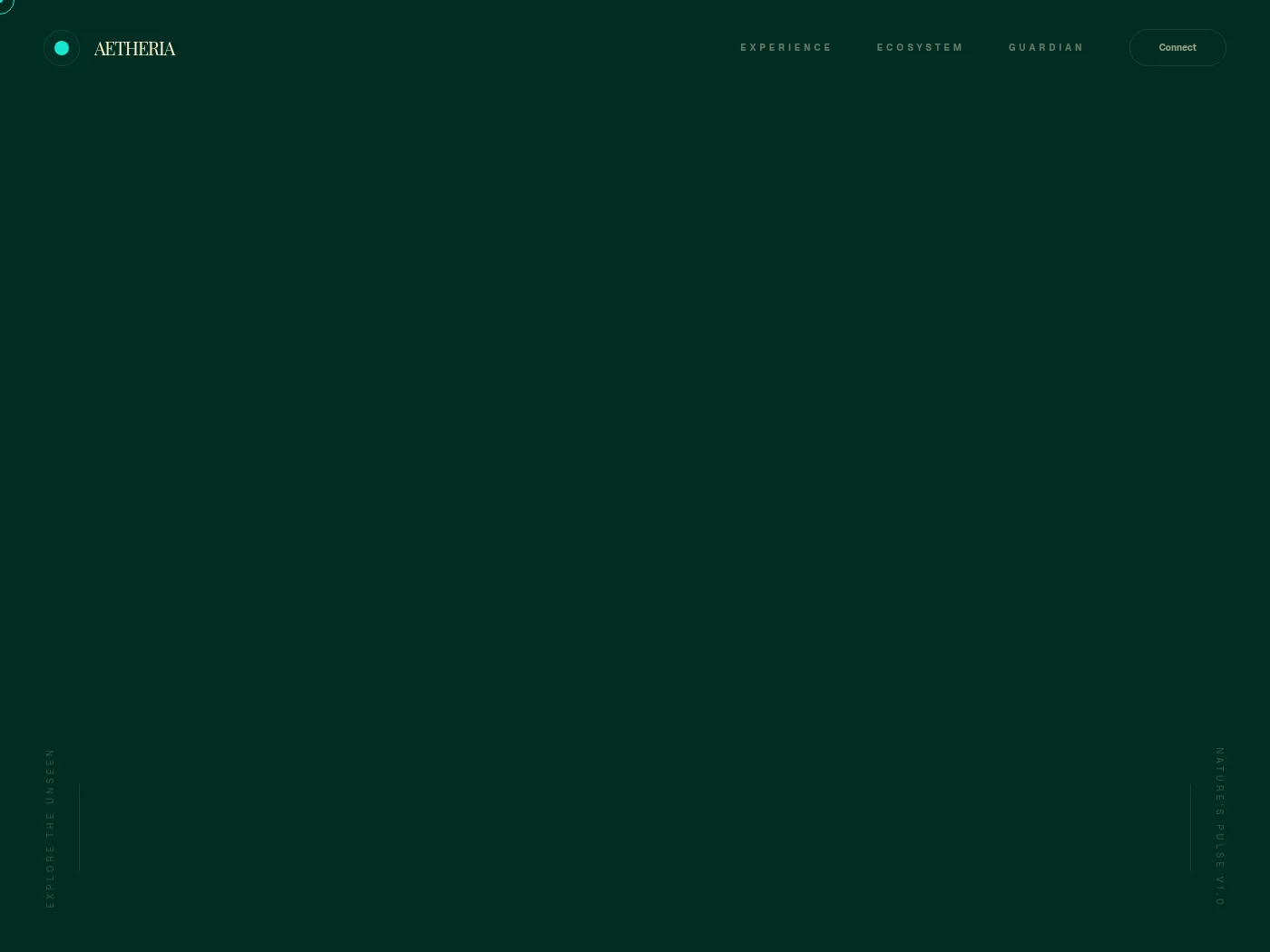 Wow 3D Web Experience