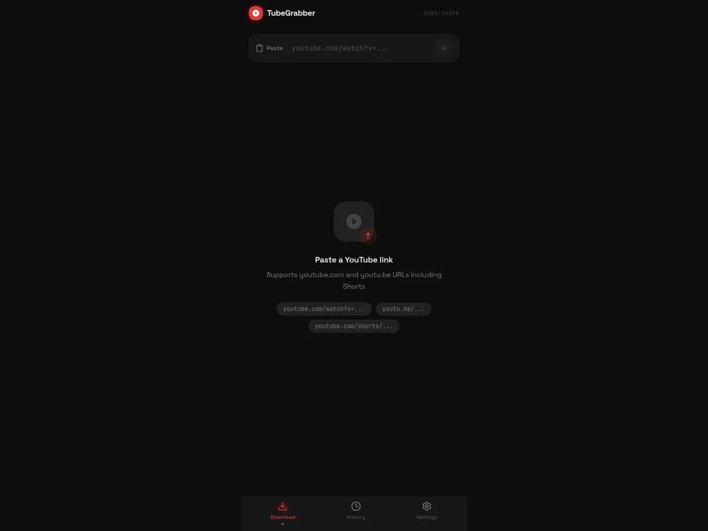TubeGrabber Web App